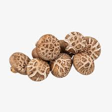 hua-gu-花菇 – Fuhengherbs.com-福恒中药网