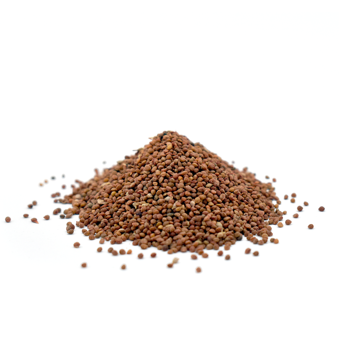 CHU SHI ZI - 楮实子 - Paper Mulberry Fruit - Custom Amount – Fuhengherbs ...
