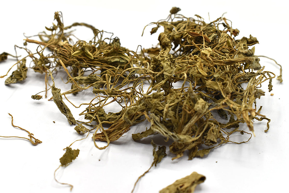 ZI HUA DI DING - 紫花地丁 - Viola Herb - Custom Amount – Fuhengherbs.com-福恒中药网
